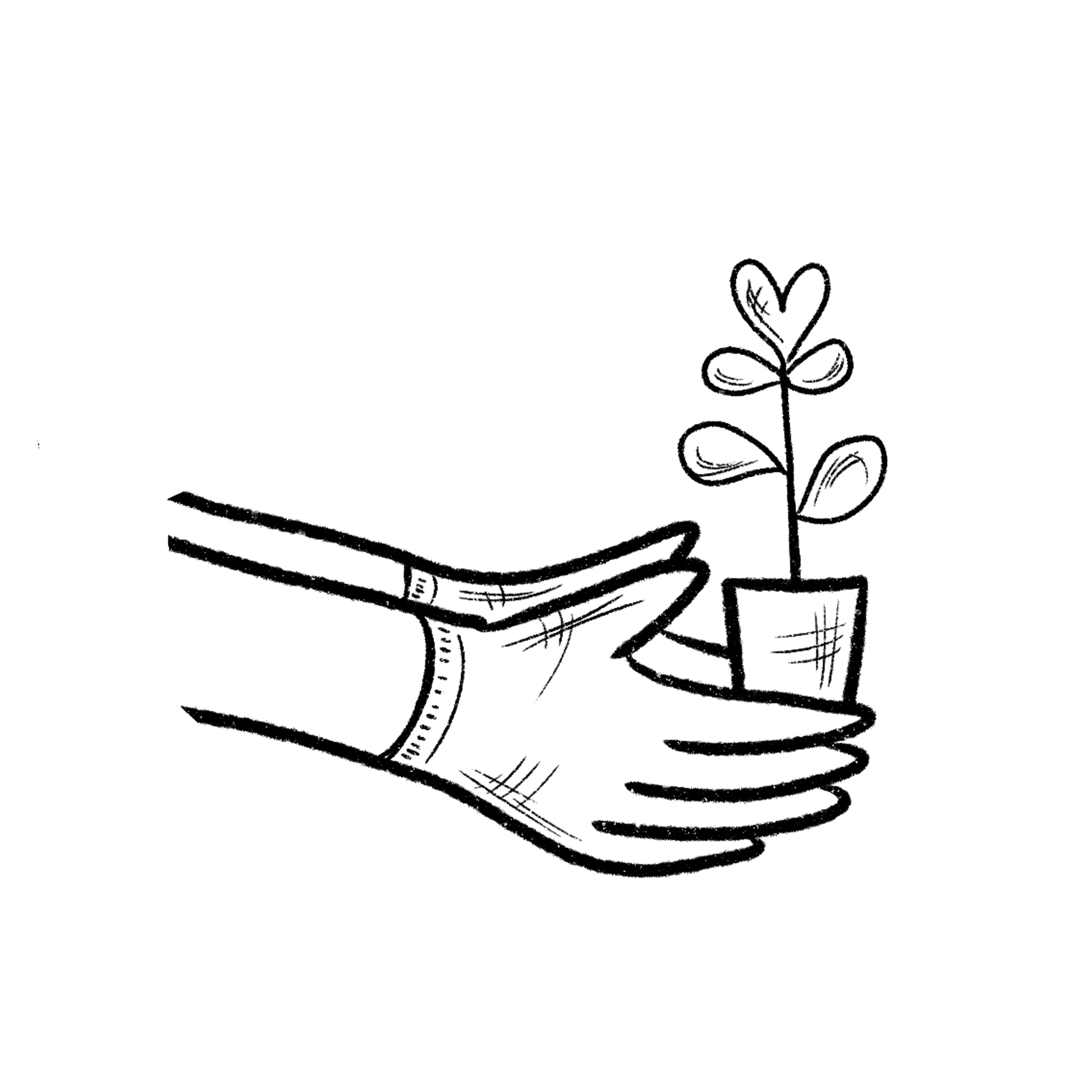 Durum Wheat Fertilization: Recommended Products and Strategies | FCP Cerea